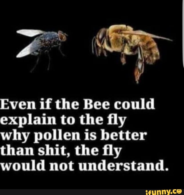 Picture memes On4v0L3D9 by wetbutter - iFunny