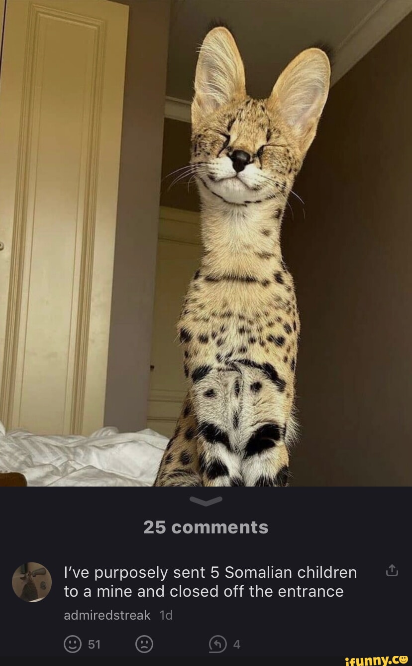 Entrance memes. Best Collection of funny Entrance pictures on iFunny