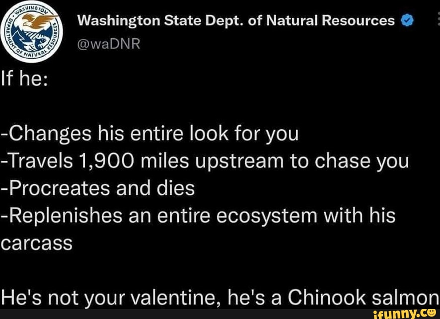 Ecosystem memes. Best Collection of funny Ecosystem pictures on iFunny