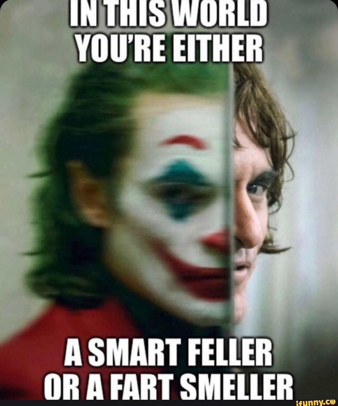 YOU'RE EITHER A SMART FELLER AFART SMELLER - iFunny