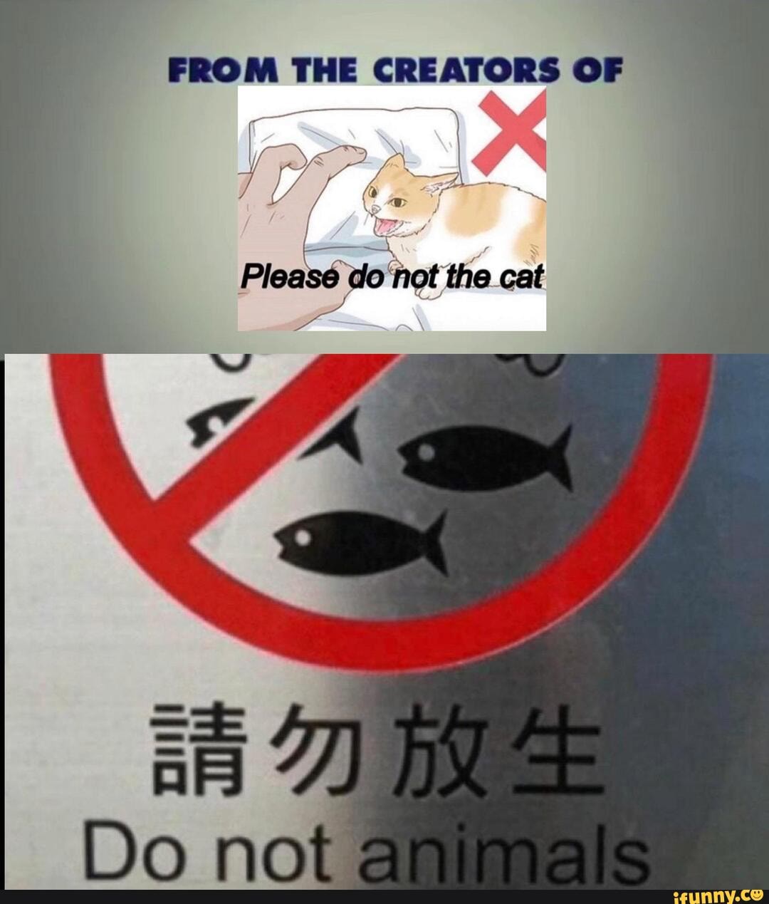 FROM THE CREATORS OF Please do not the cat - iFunny