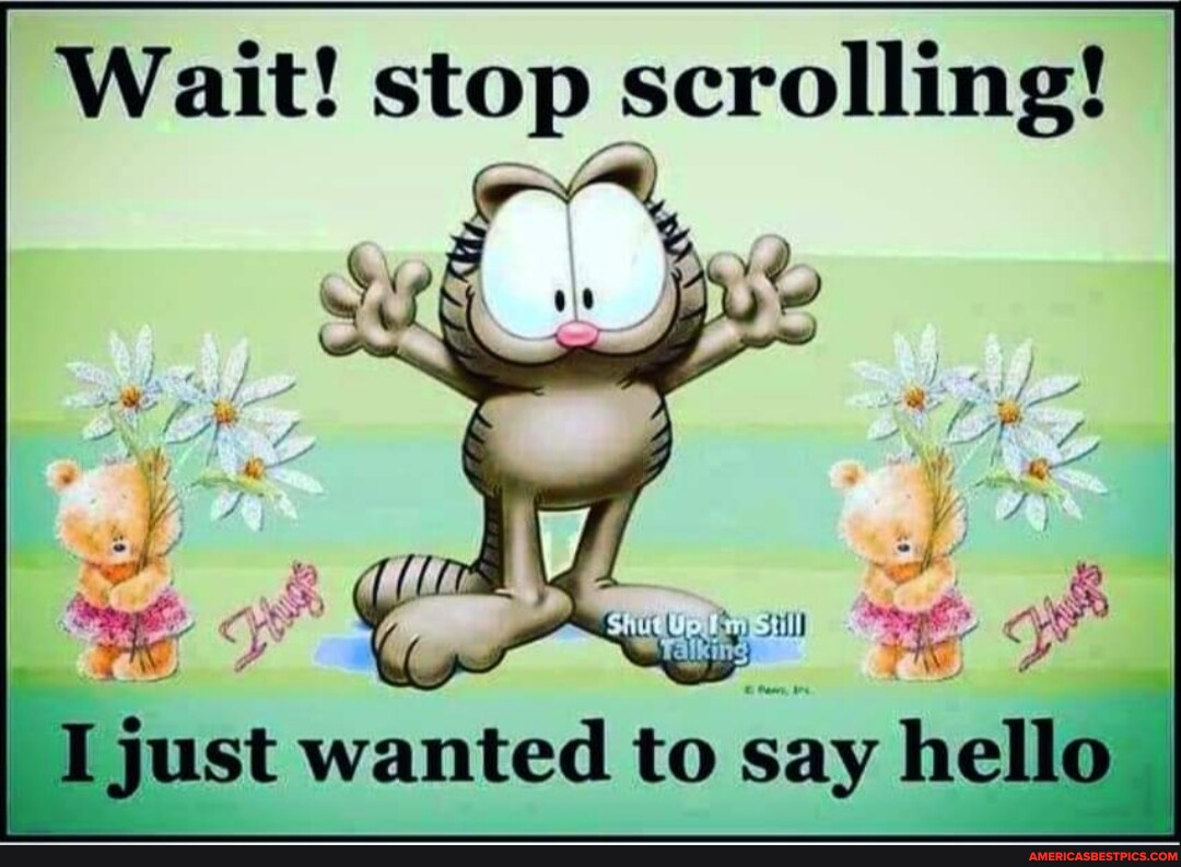 Wait! stop scrolling! just wanted to say hell - America’s best pics and videos