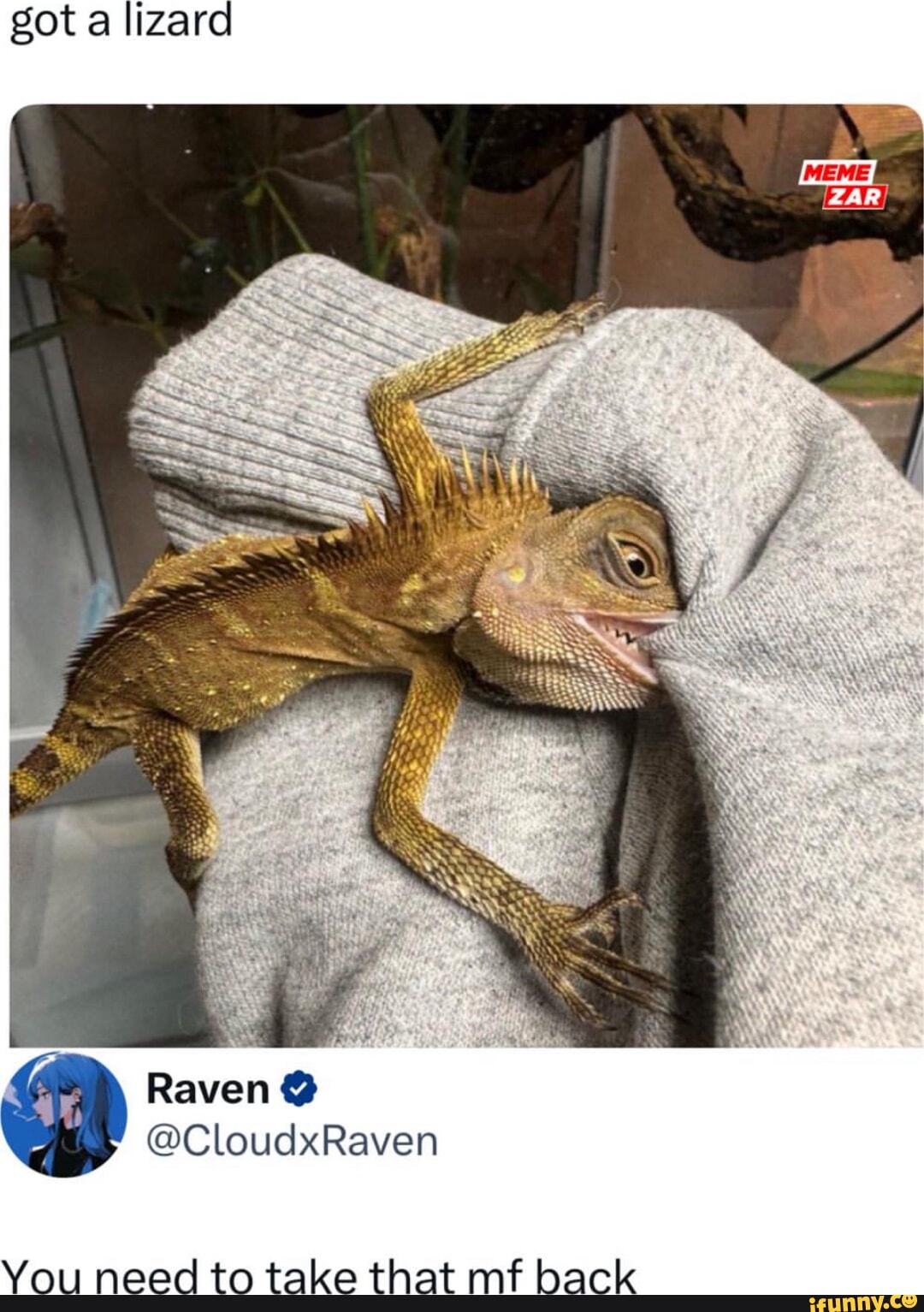 Got a lizard Raven @CloudxRaven You need to take that mf back - iFunny