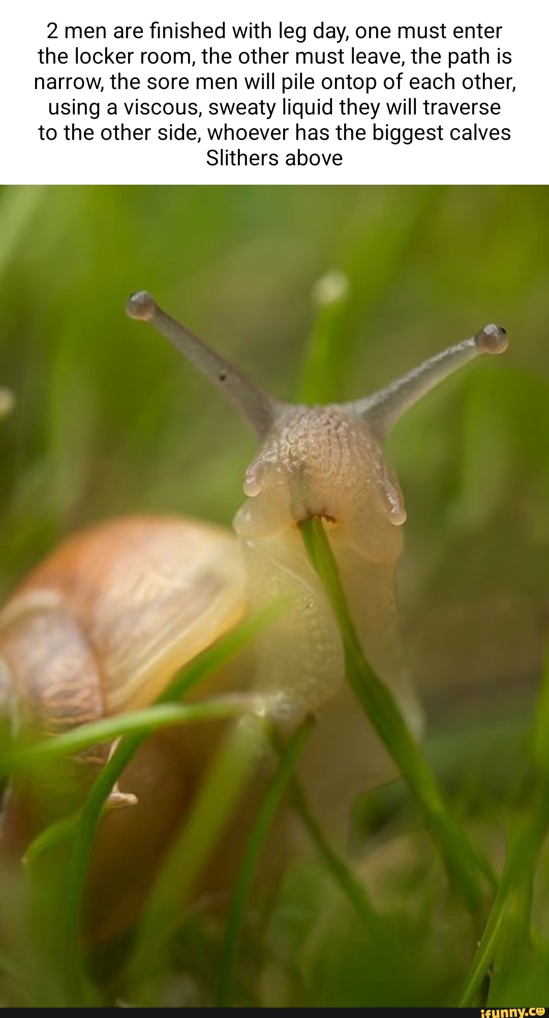 Viscous memes. Best Collection of funny Viscous pictures on iFunny