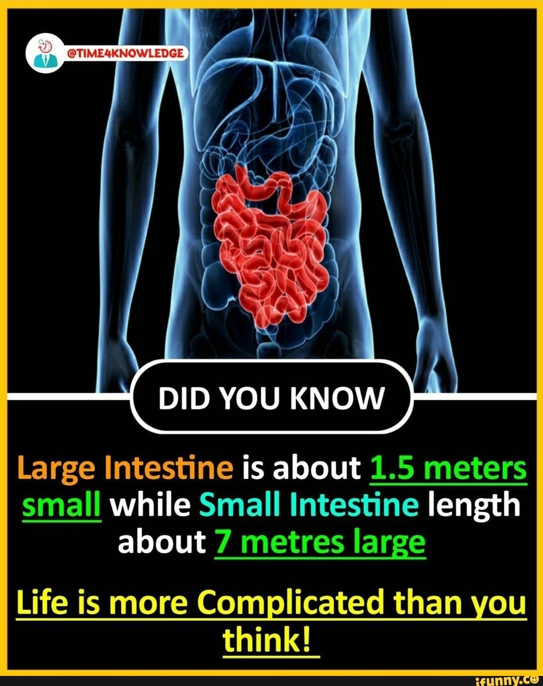 Largeintestine memes. Best Collection of funny Largeintestine pictures ...