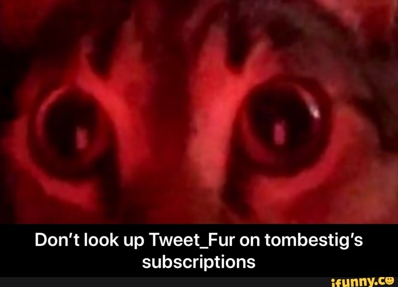 Tweetfur memes. Best Collection of funny Tweetfur pictures on iFunny