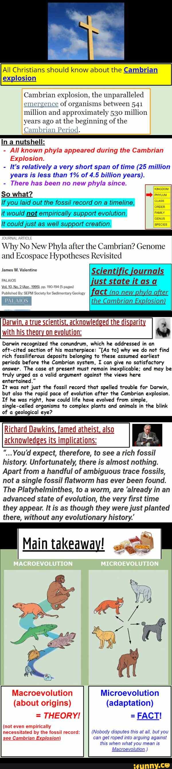 All Christians should know about the Cambrian Explosion - All ...