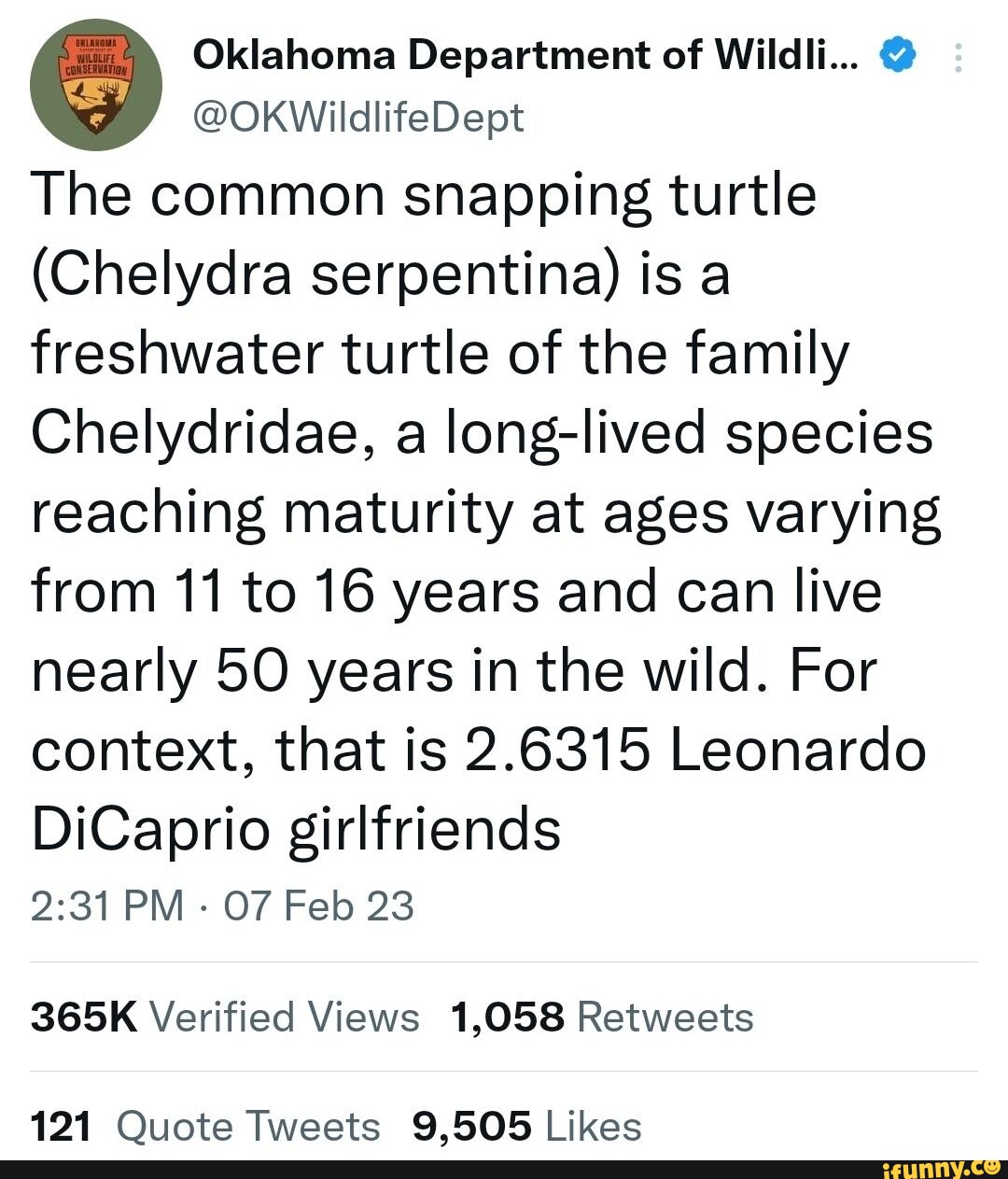 @OKWildlifeDept The common snapping turtle (Chelydra serpentina) is a ...