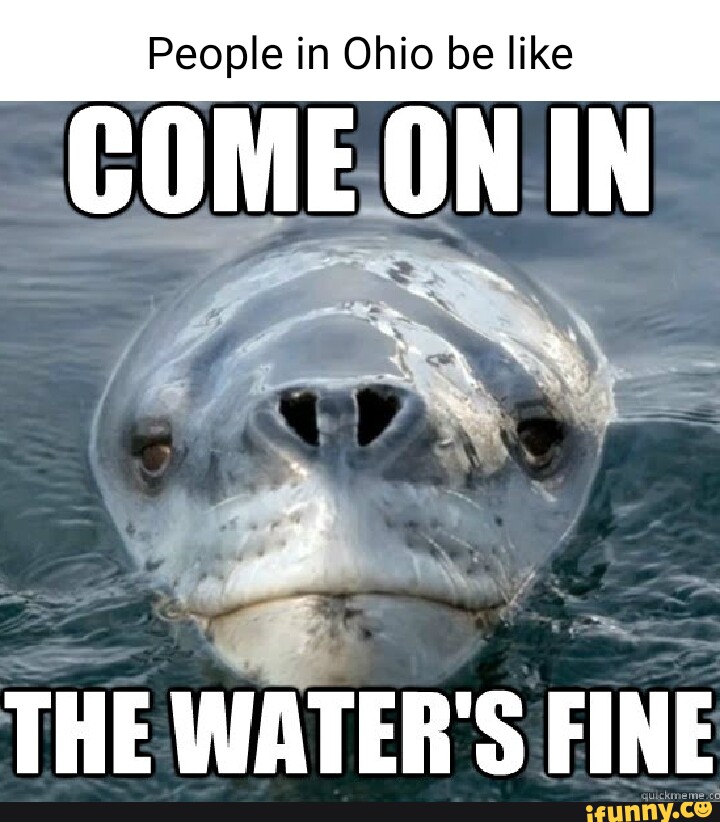 People in Ohio be like COMEONIN THE WATER'S FINE - iFunny