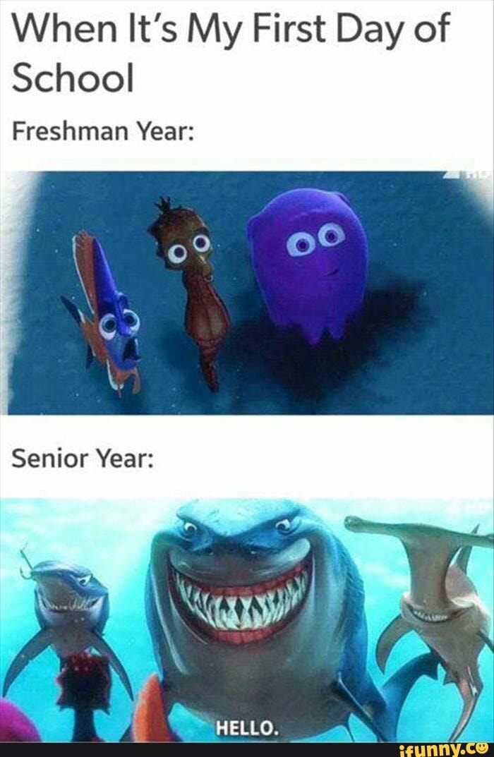 School life - When It's My First Day of School Freshman Year: Senior ...