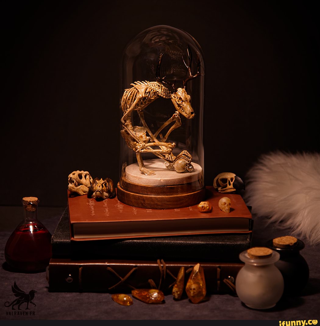 Wendigo memes. Best Collection of funny Wendigo pictures on iFunny