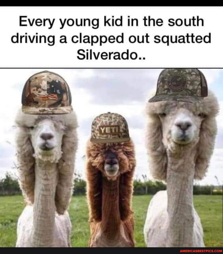 Every young kid in the south driving a clapped out squatted Silverado ...