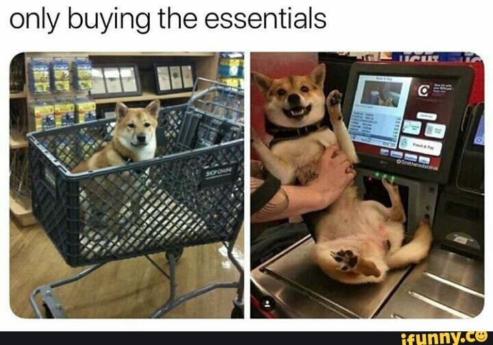 Only buying the essentials - iFunny