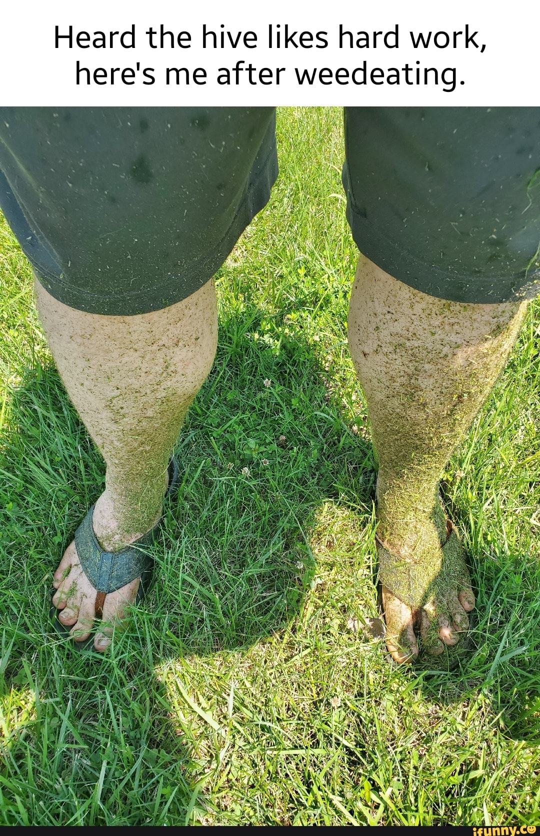 Weedeating memes. Best Collection of funny Weedeating pictures on iFunny