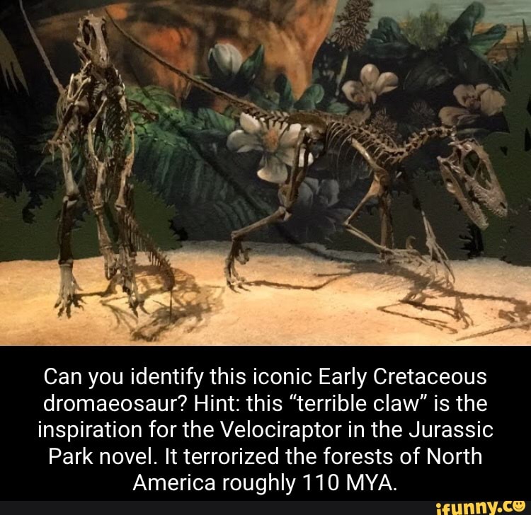 Can you identify this iconic Early Cretaceous dromaeosaur? Hint: this ...