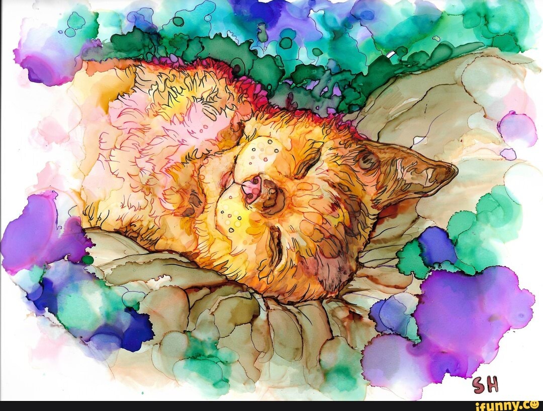 Psychedelic_art memes. Best Collection of funny Psychedelic_art ...