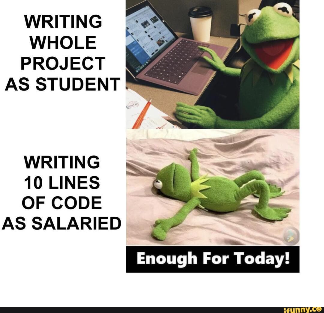 WRITING WHOLE PROJECT AS STUDENT WRITING 10 LINES OF CODE AS SALARIED I ...