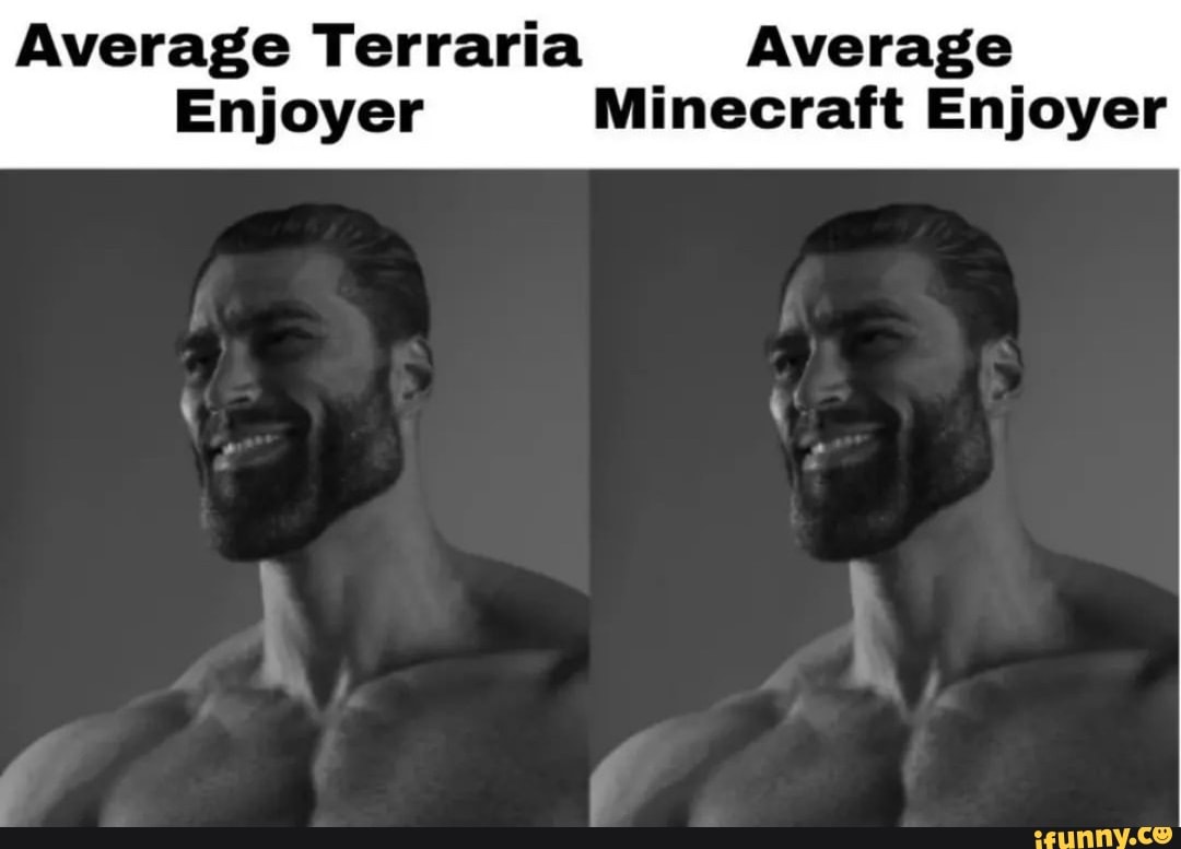 Average Terraria Average Minecraft Enjoyer - iFunny
