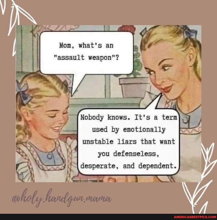 Mom, what's an "assault weapon"? Nobody knows. It's a term used by ...