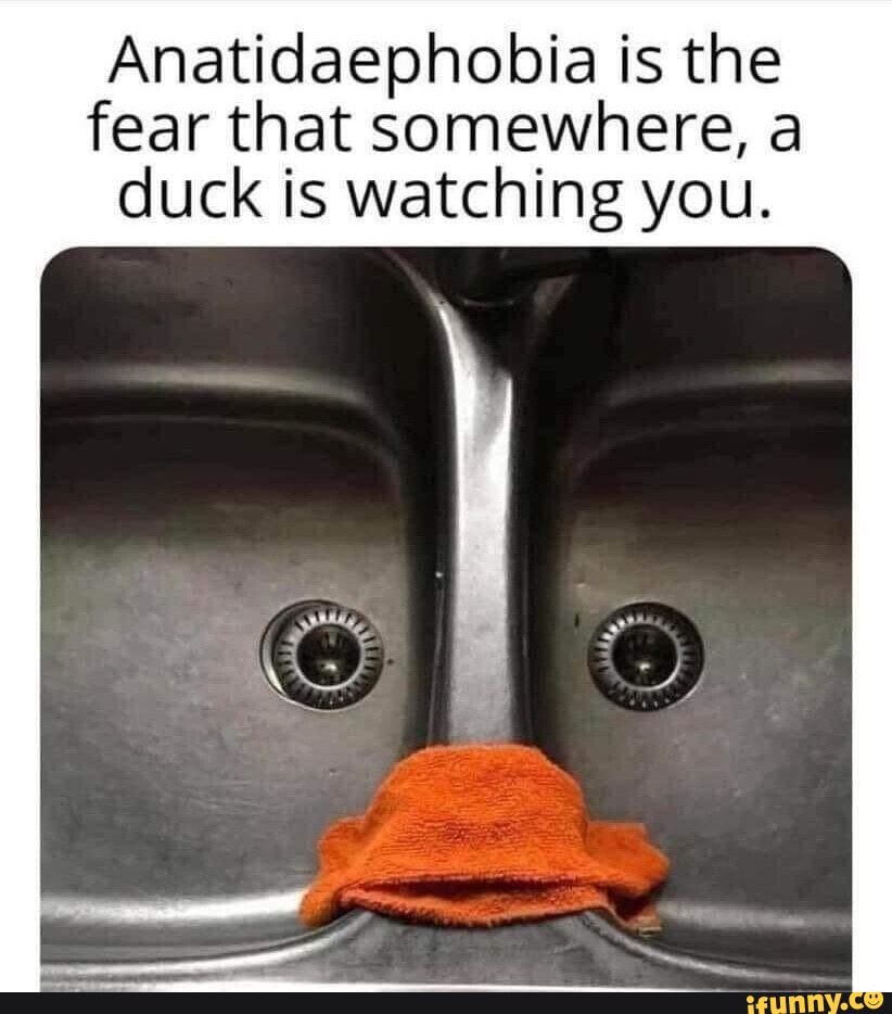 Anatidaephobia memes. Best Collection of funny Anatidaephobia pictures ...