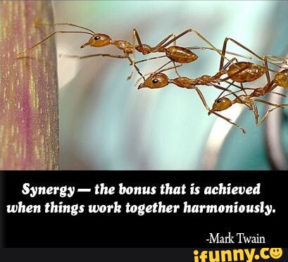 Synergy memes. Best Collection of funny Synergy pictures on iFunny