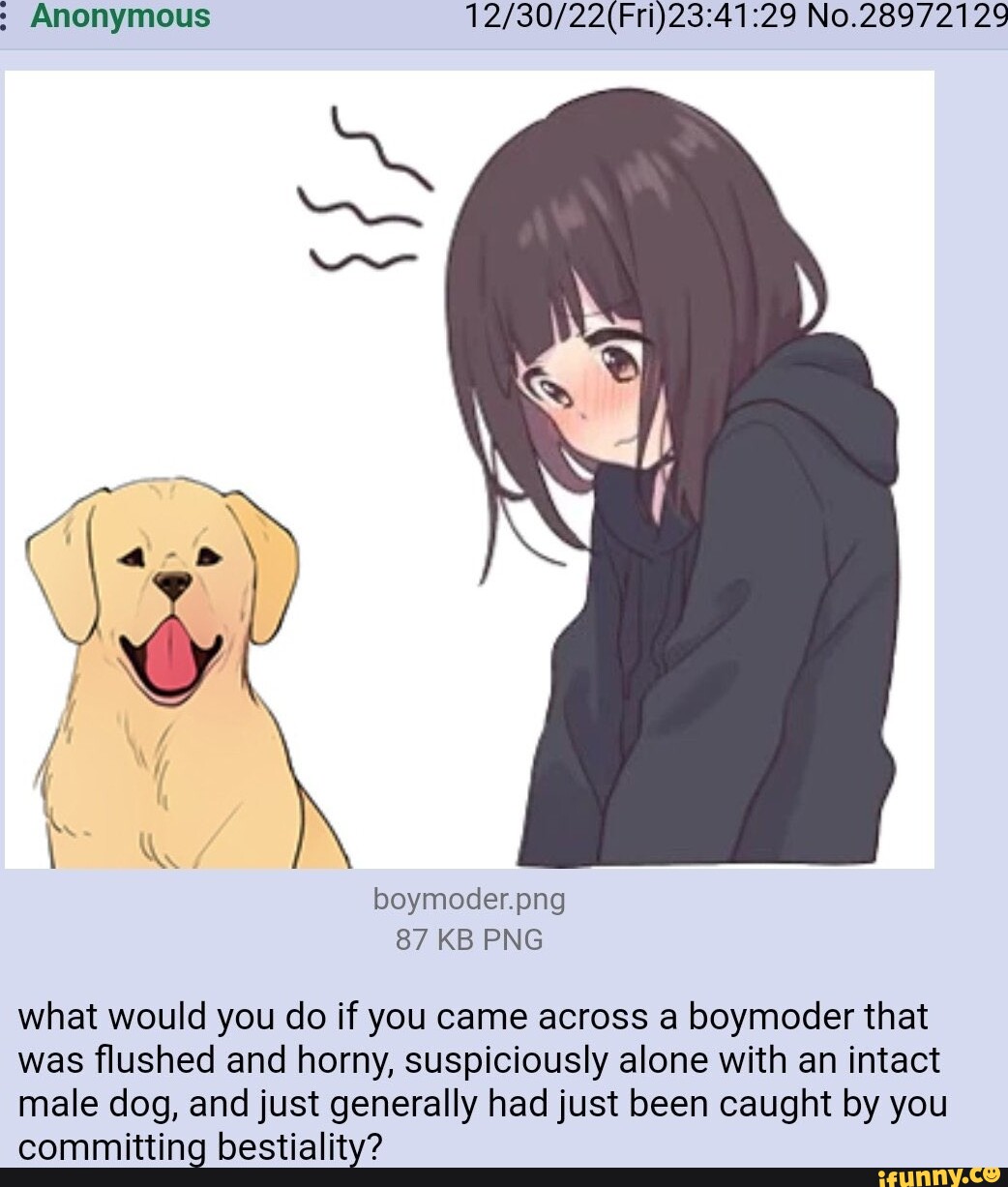Anonymous 29 No.28972129 boymoder.png 87 KB PNG what would you do if ...