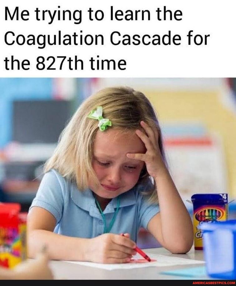 Me trying to learn the Coagulation Cascade for the 827th time - America ...