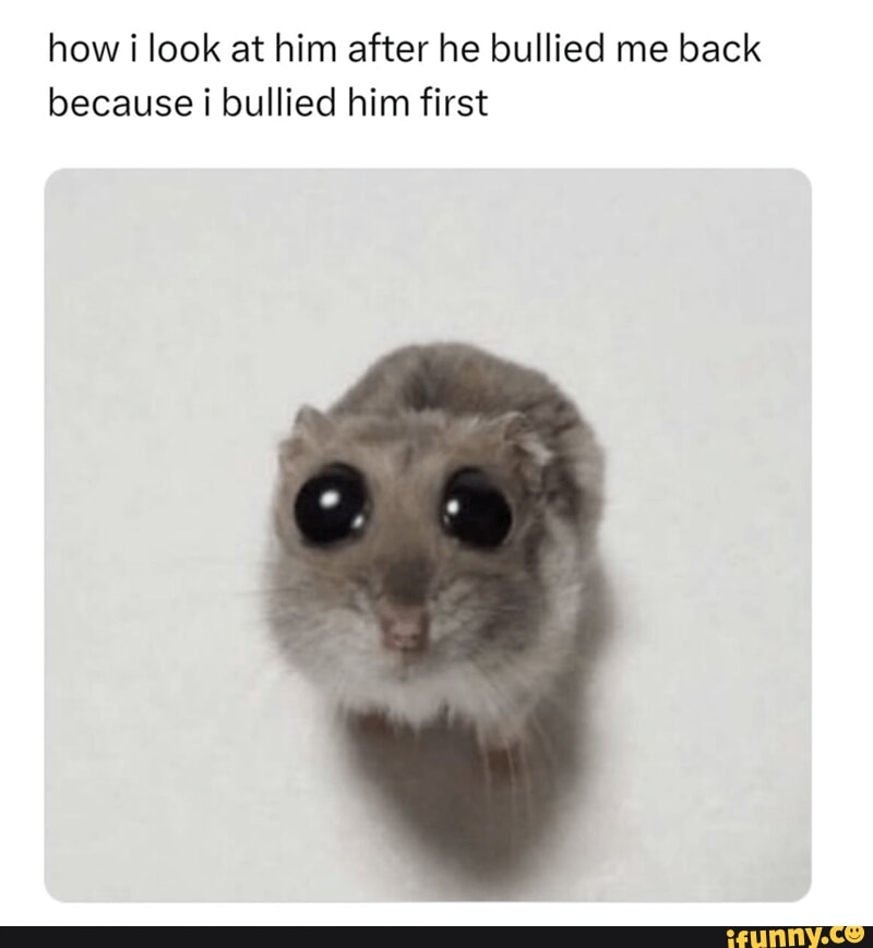 How i look at him after he bullied me back because i bullied him first ...
