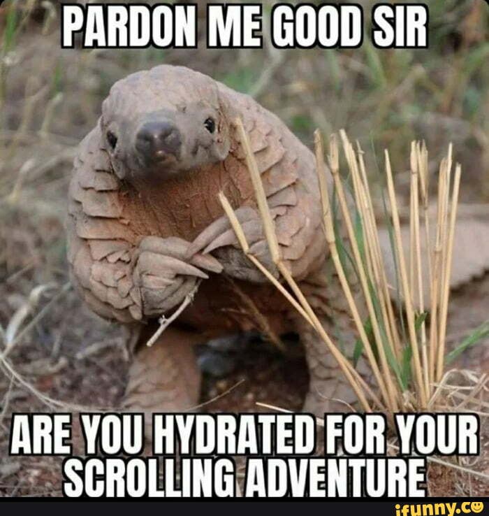 Giant_pangolin memes. Best Collection of funny Giant_pangolin pictures ...