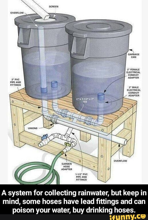 Rainwater memes. Best Collection of funny Rainwater pictures on iFunny