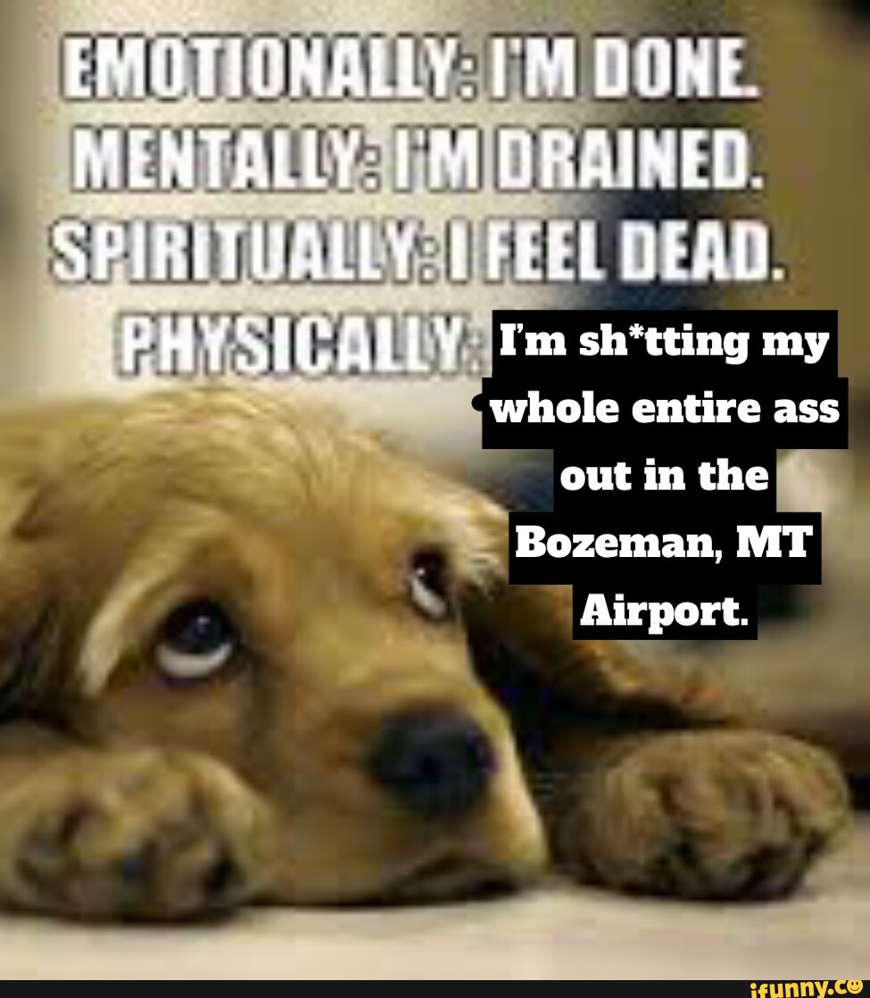 Bozeman memes. Best Collection of funny Bozeman pictures on iFunny