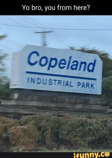 Copeium memes. Best Collection of funny Copeium pictures on iFunny