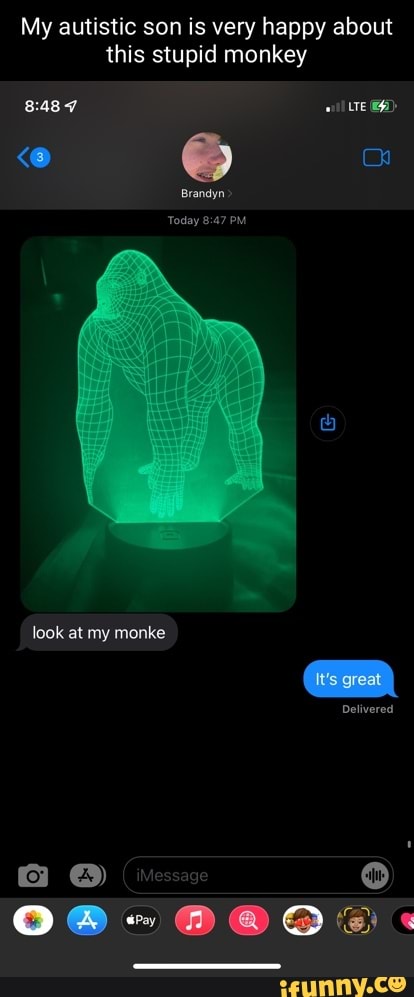 My autistic son is very happy about this stupid monkey on Brandyn Today ...