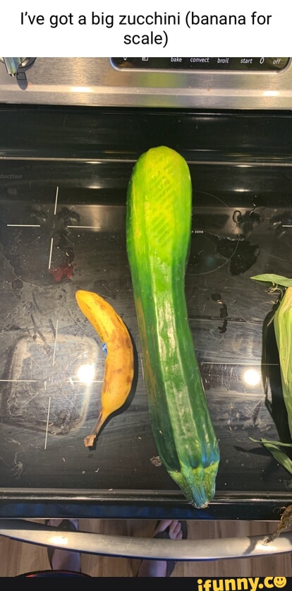 Zuchini memes. Best Collection of funny Zuchini pictures on iFunny