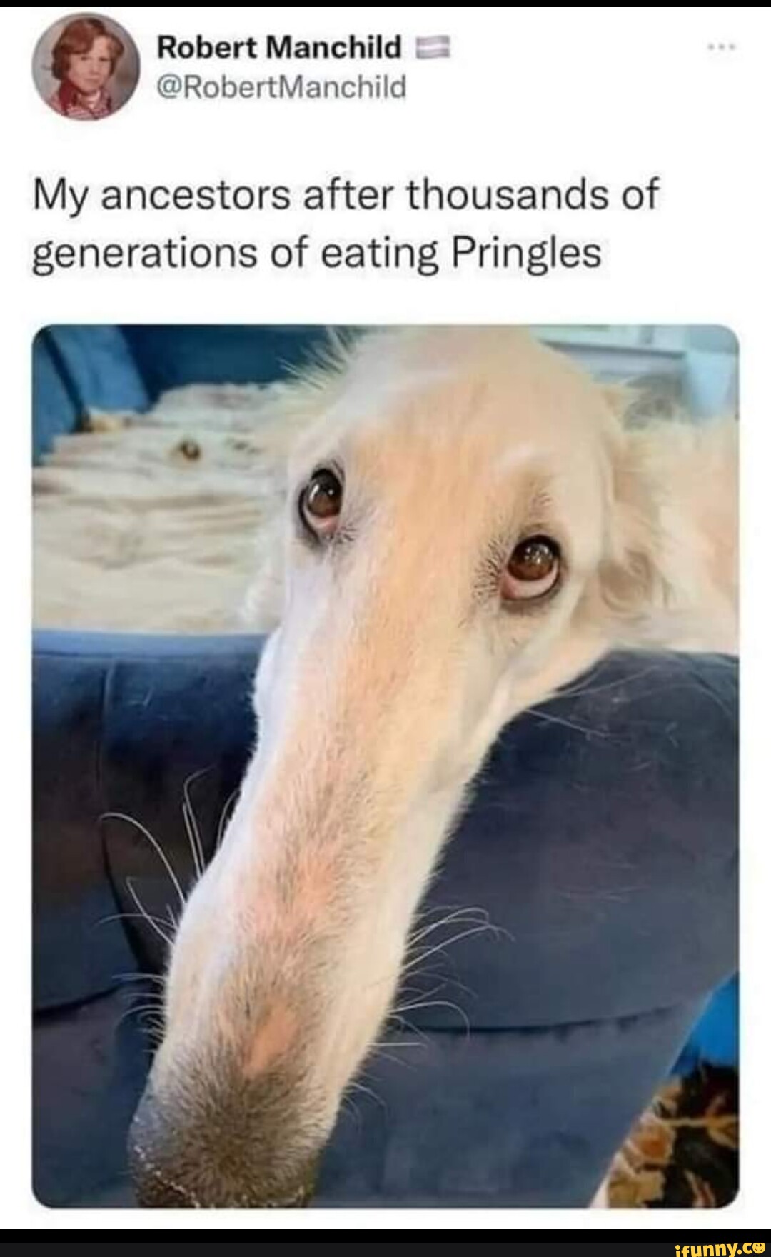 Robert Manchild I RobertManchild My ancestors after thousands of ...