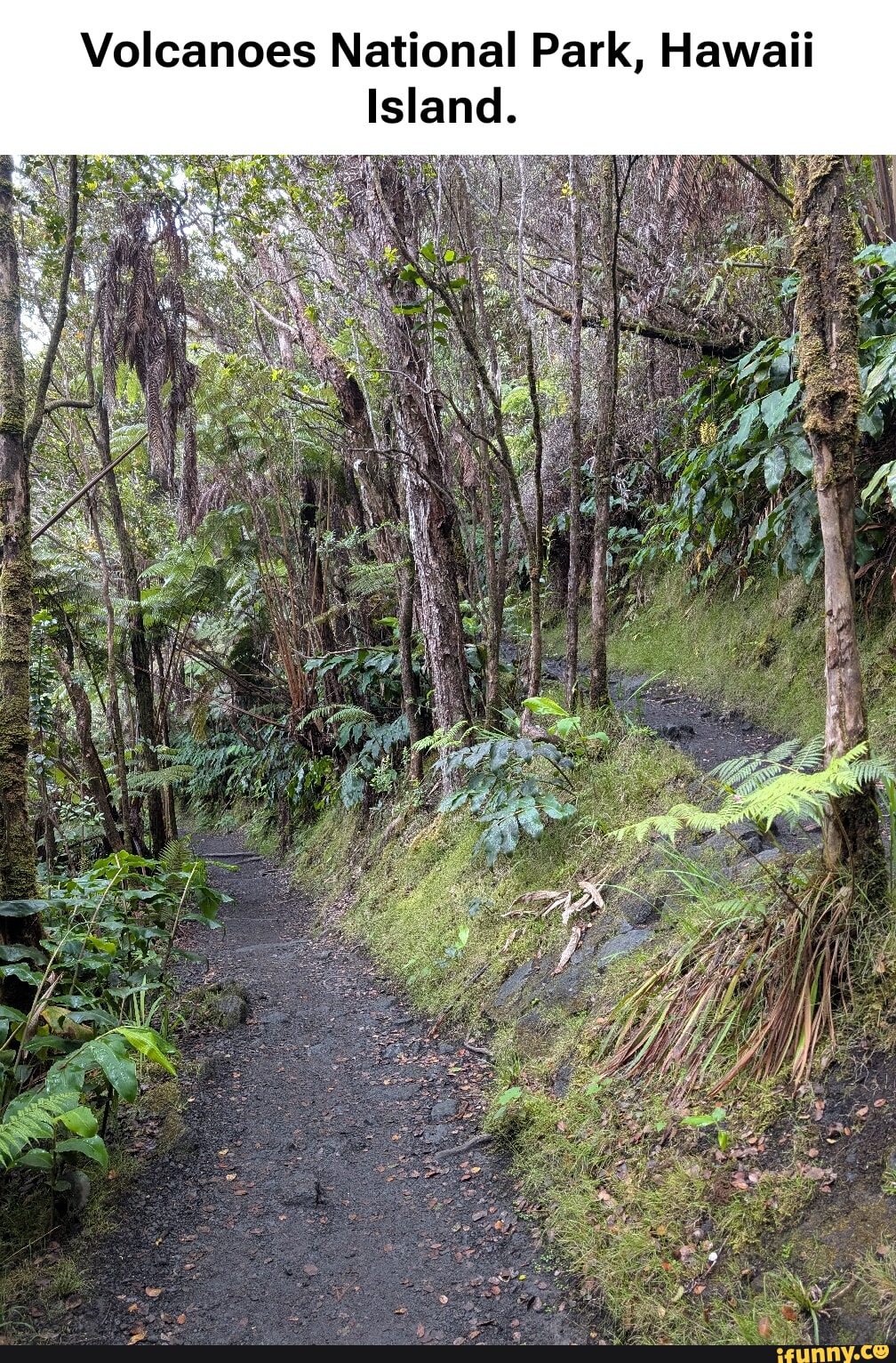 Volcano memes. Best Collection of funny Volcano pictures on iFunny