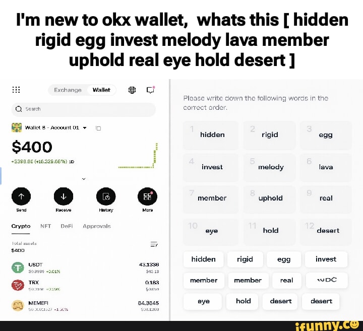 I'm new to okx wallet, whats this [ hidden rigid egg invest melody lava ...