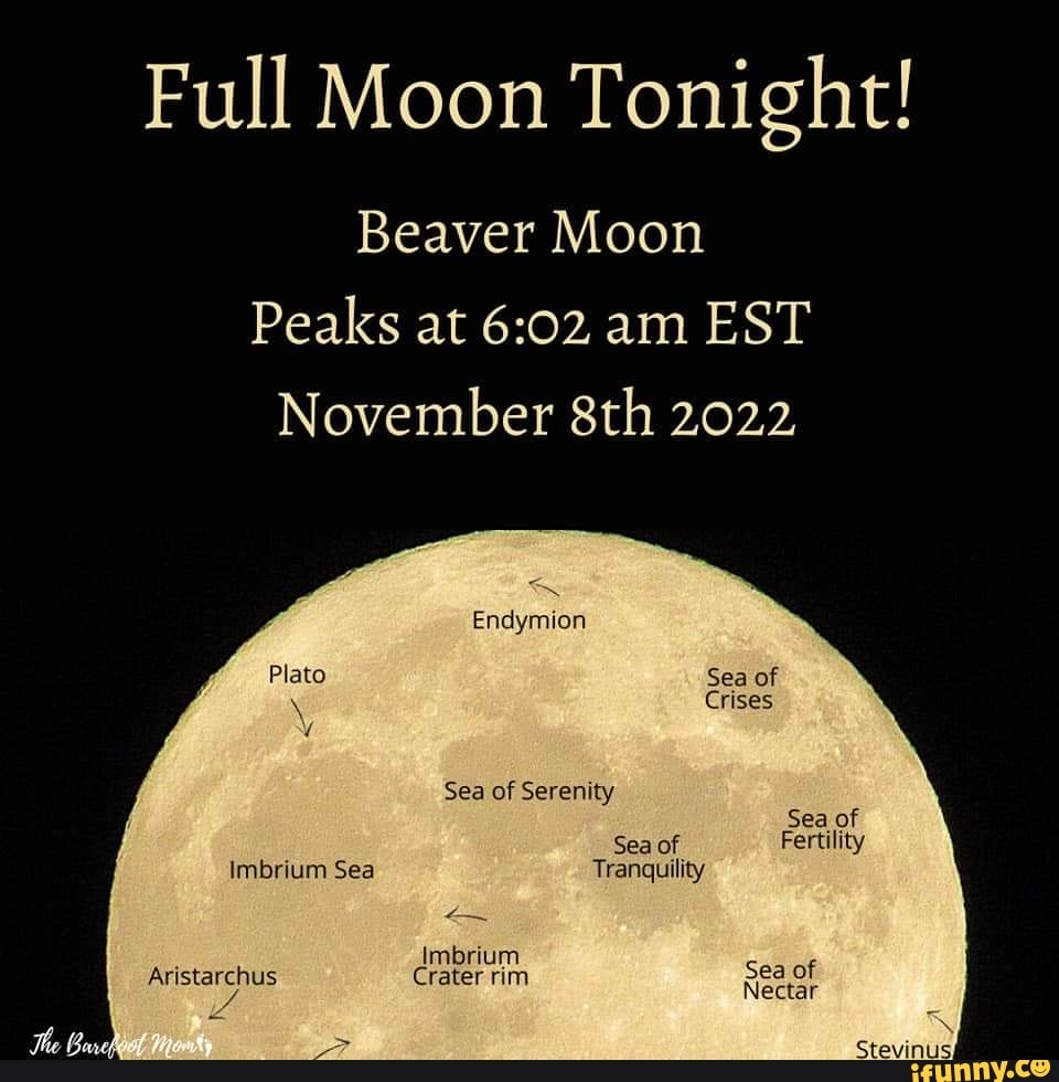 Full Moon Tonight! Beaver Moon Peaks at am EST November 2022 Endymion ...