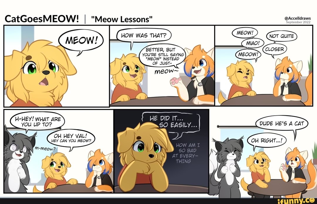 Catgoesmeow memes. Best Collection of funny Catgoesmeow pictures on iFunny