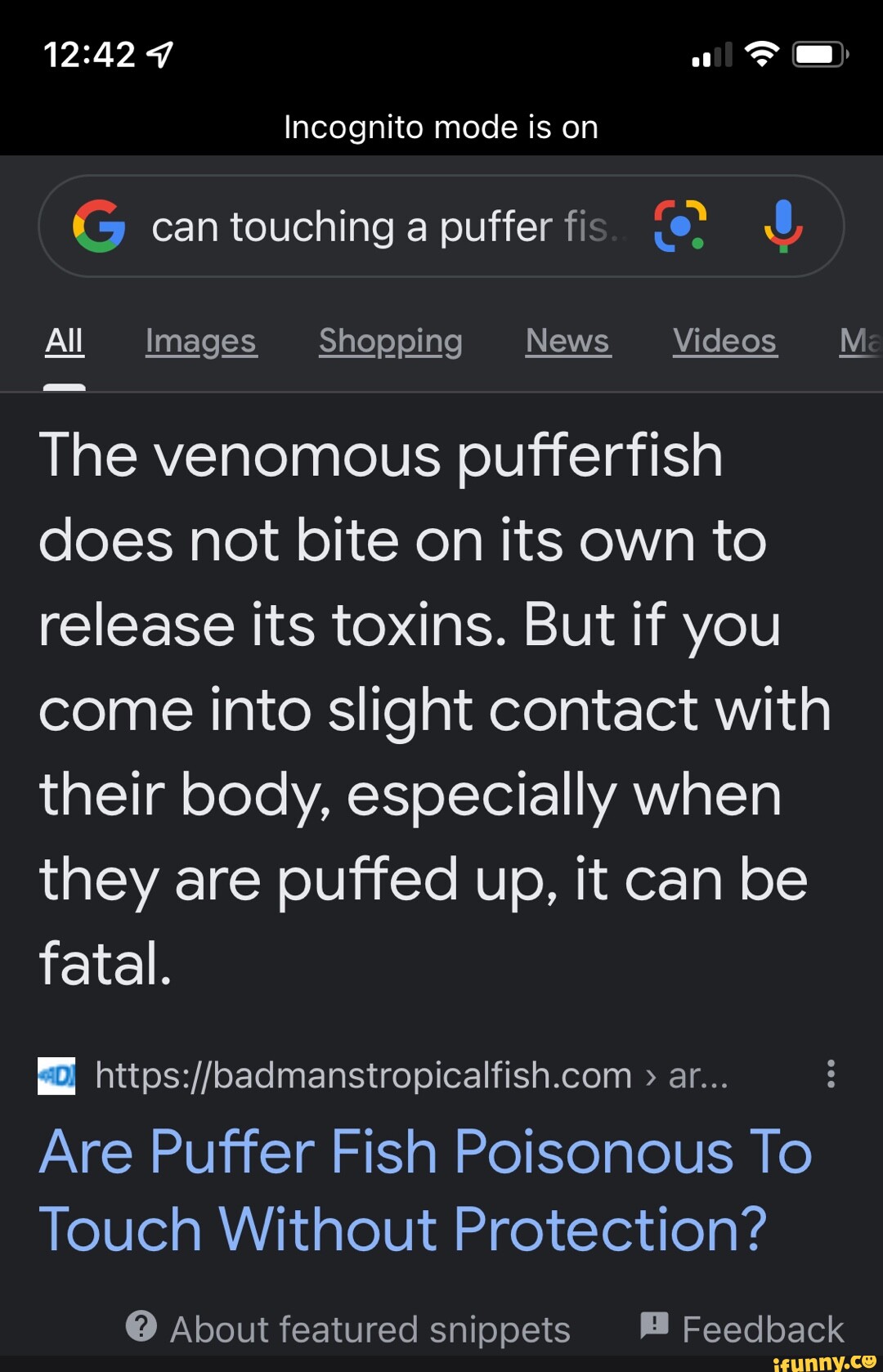 7 Incognito mode is on cantouching puffer fis All Images Shopping News ...