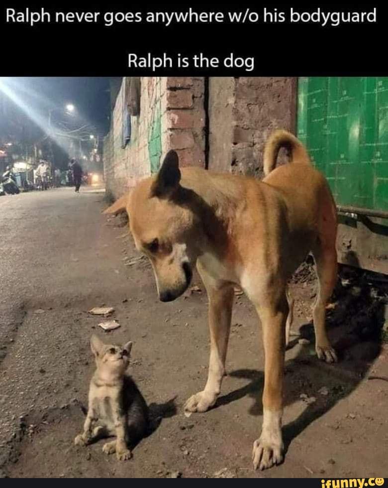 Ralph never goes anywhere his bodyguard Ralph is the dog - iFunny