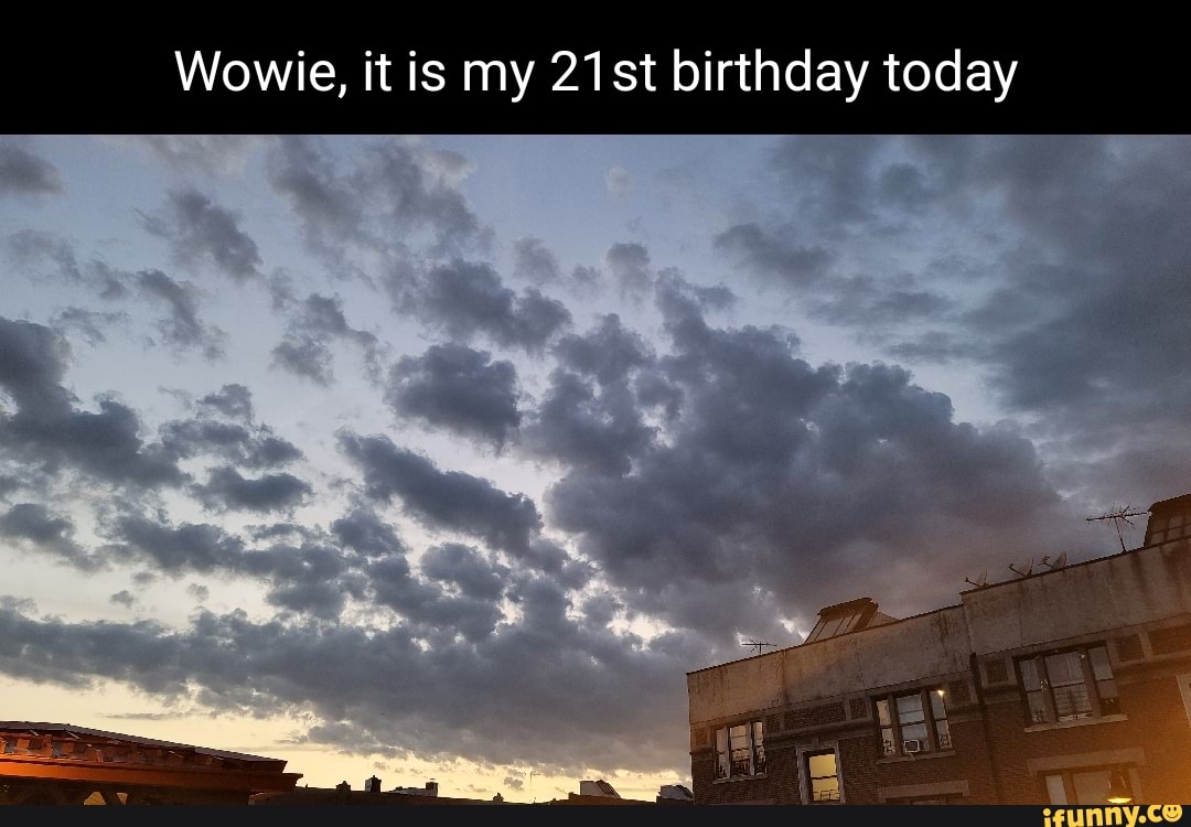 Wowie memes. Best Collection of funny Wowie pictures on iFunny