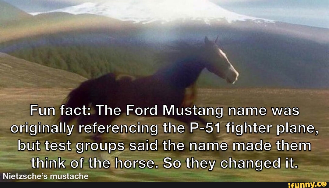 Fun fact: The Ford Mustang name was originally referencing the P-51 ...