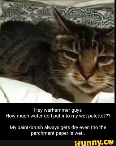 Hey warhammer guys How much water do I put into my wet palette??? My ...