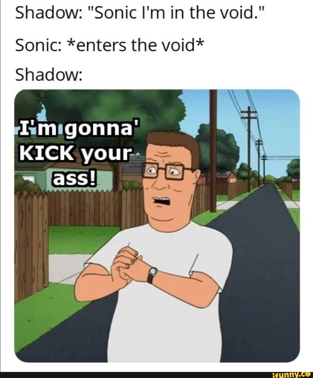 Shadow: "Sonic I'm in the void." Sonic: *enters the void* Shadow: I'm ...