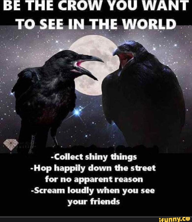 BE THE CROW YOU WANT TO SEE IN THE WORLD -Collect shiny things -Hop ...