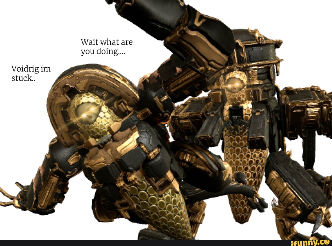 Wait what are you doing... Voidrig im stuck.. - iFunny