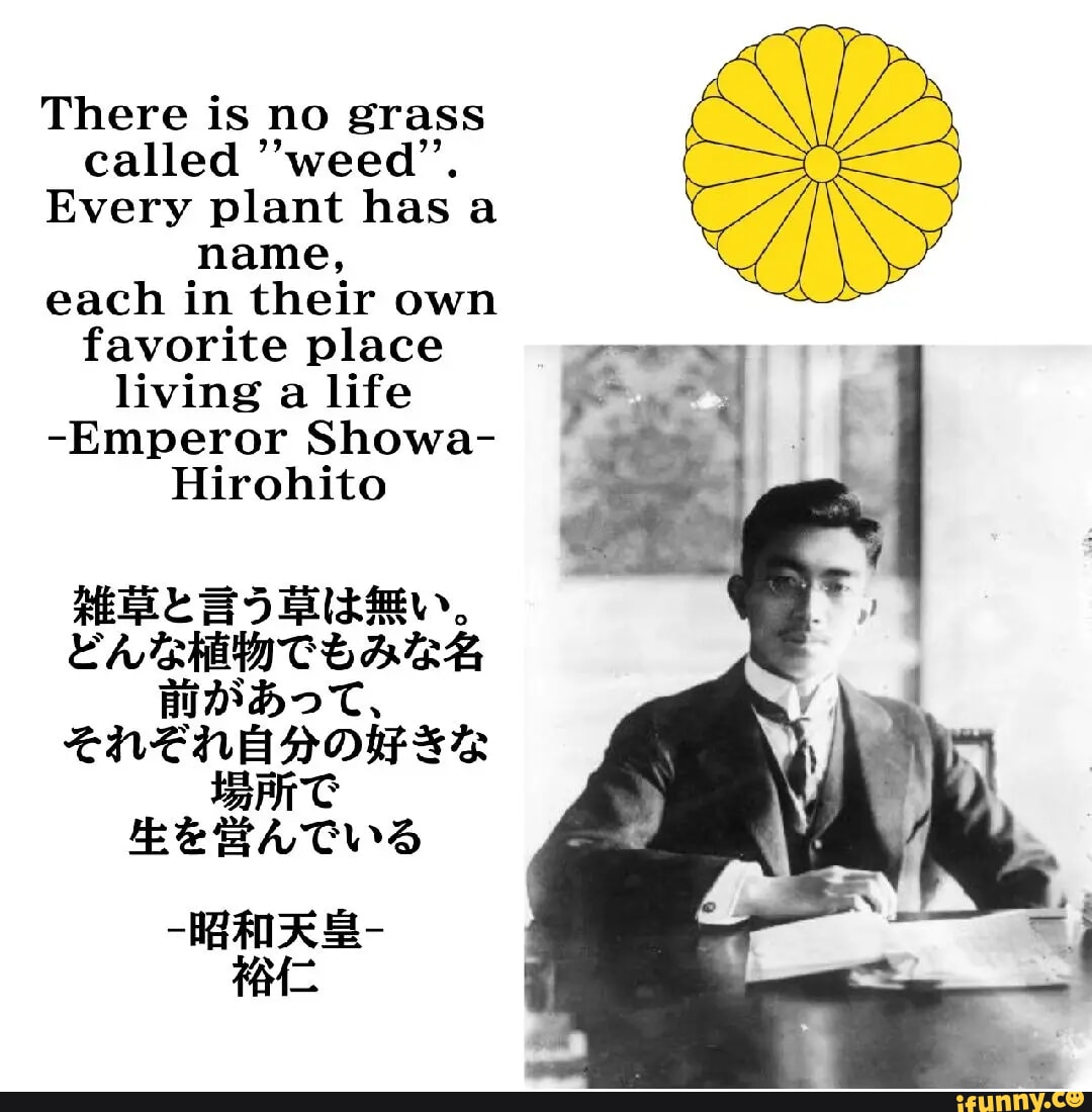 There is no grass called ''weed"'. Every plant has a name, each in ...