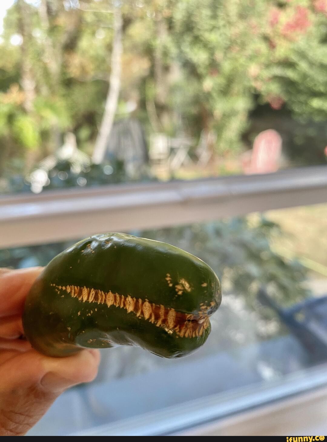 Flambé memes. Best Collection of funny Flambé pictures on iFunny