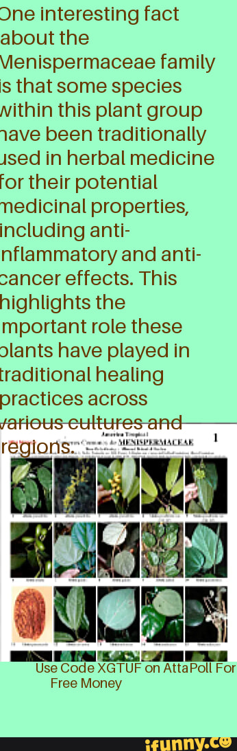 Nithin memes. Best Collection of funny Nithin pictures on iFunny